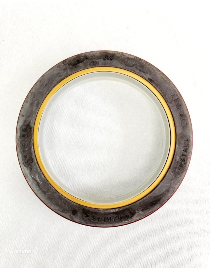 Oil Seal 3020183 Cummins - Space Coast Group